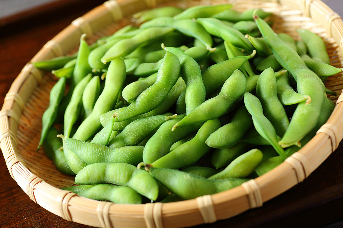 Niigata boasts the largest edamame cultivation area in Japan – jci ...