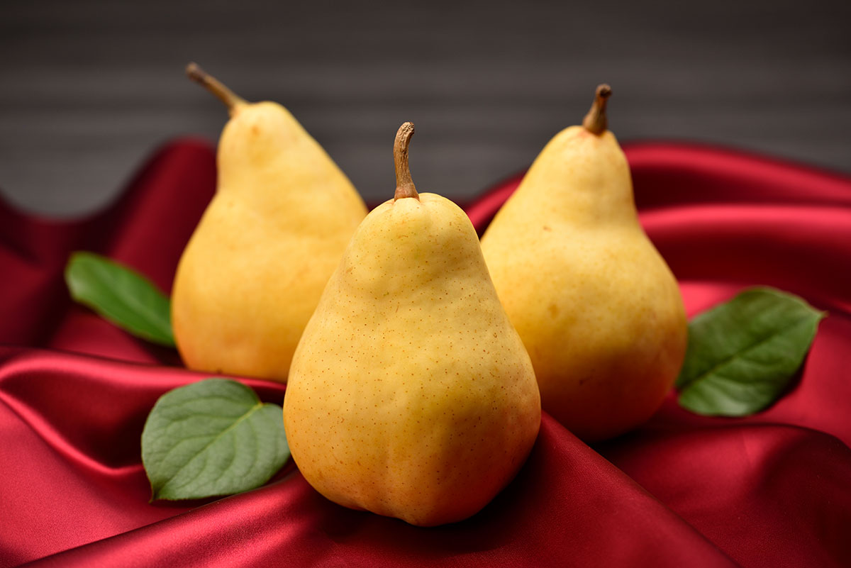 Le Lectier, a rare Western pear variety known as a Niigata delicacy ...
